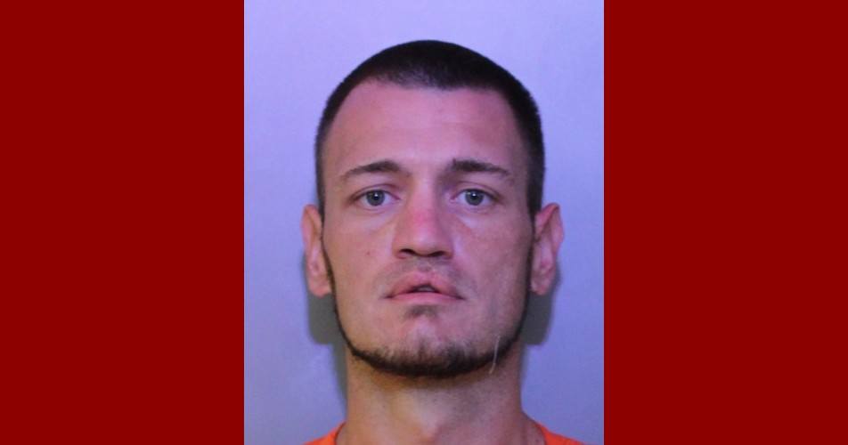 MATTHEW BREESEMAN booked for