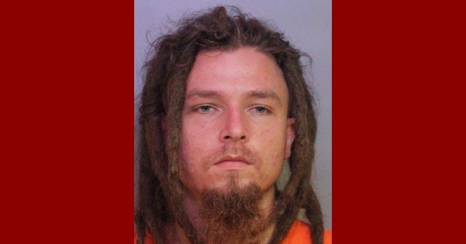 MICHAEL RICHARDSON booked for