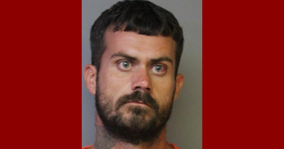 MICHAEL WEAVER booked for