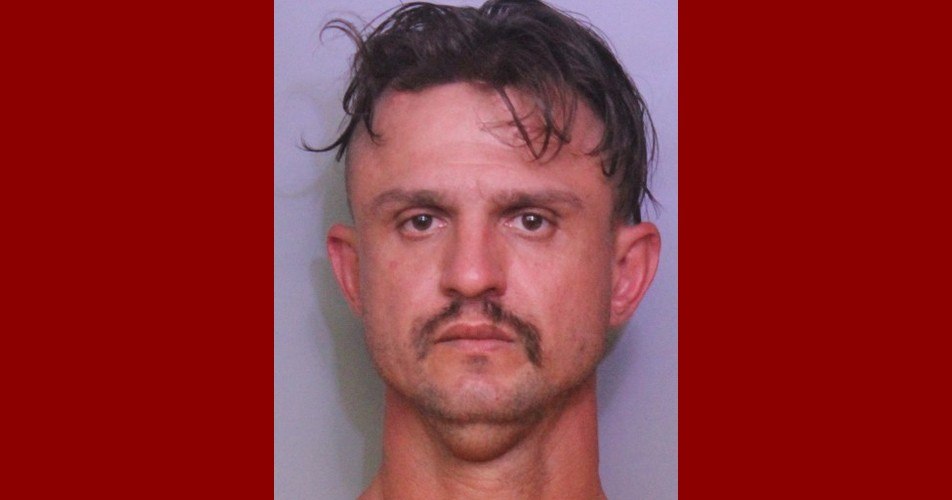 JAMIE AMERSON booked for