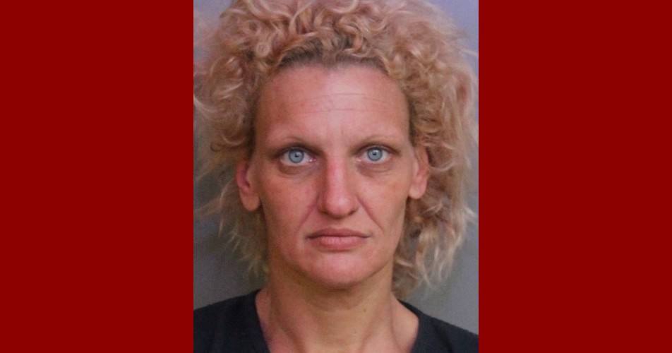 AMY POLLOCK booked for