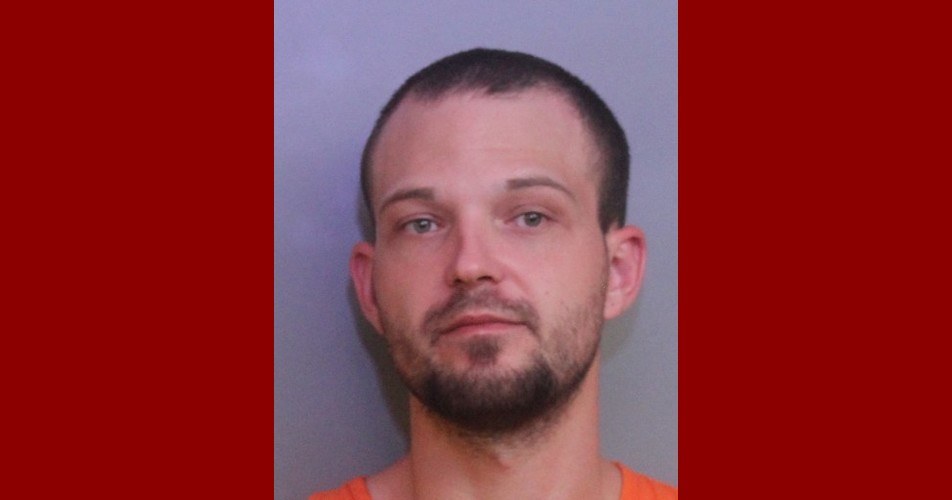 BRANDON BAUER booked for