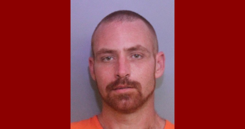 DAVID STOKES booked for