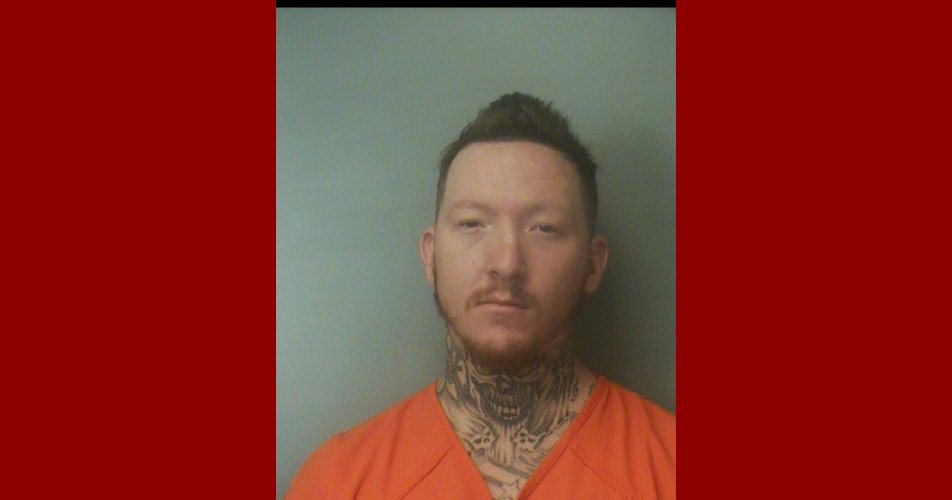 DYLAN BAUER booked for