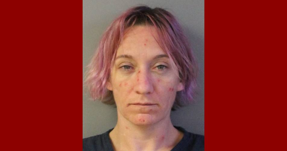 JESSICA COBAN booked for
