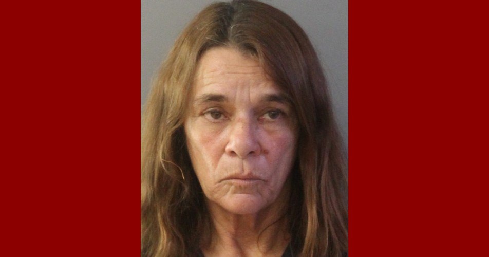 LISA WENZEL booked for