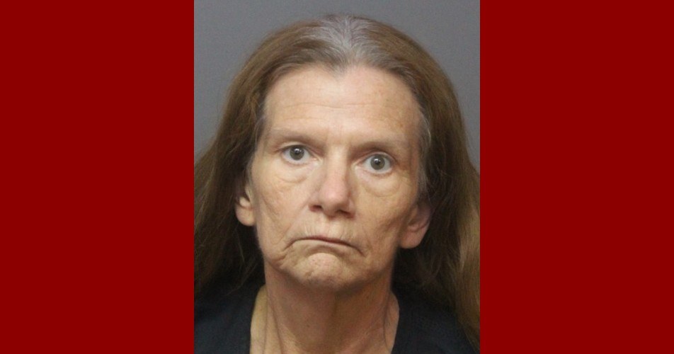 TERRI FISHER booked for