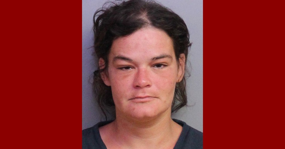 CHAD HALSTEAD booked for