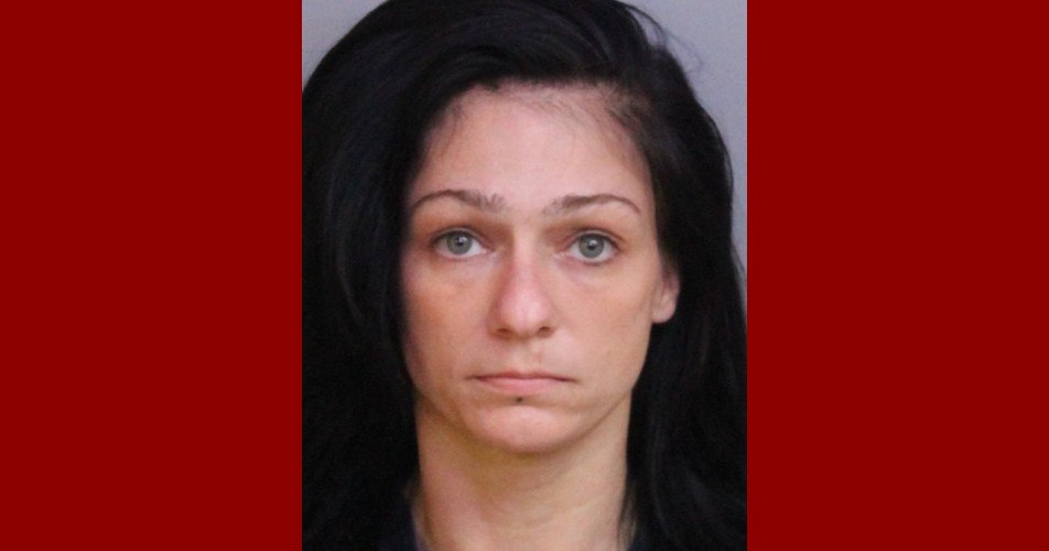 AMBER SCHMIDT booked for