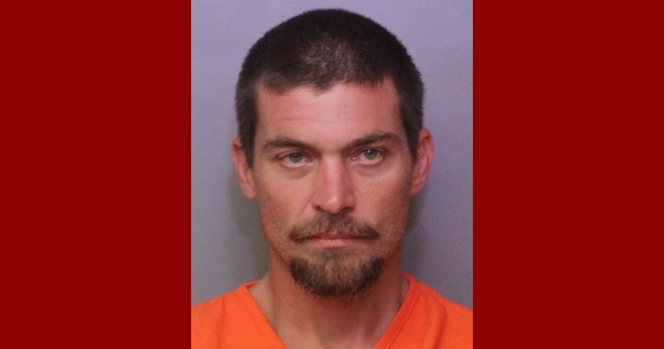 DAVID IRONS booked for