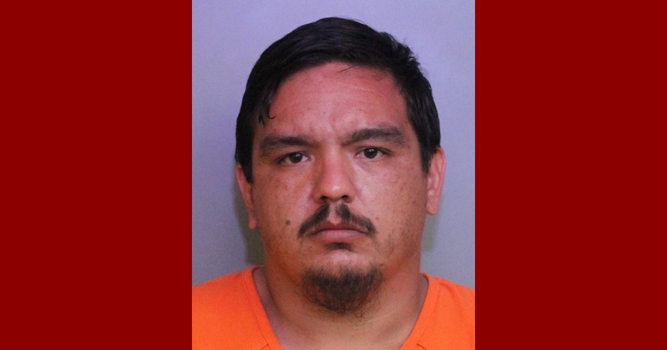 TYLER MCELROY booked for