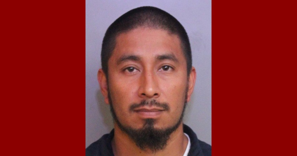 JAMIE TORRES booked for
