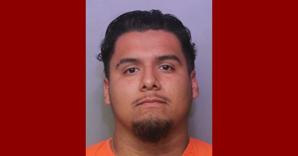 LUIS ELIZALDE booked for