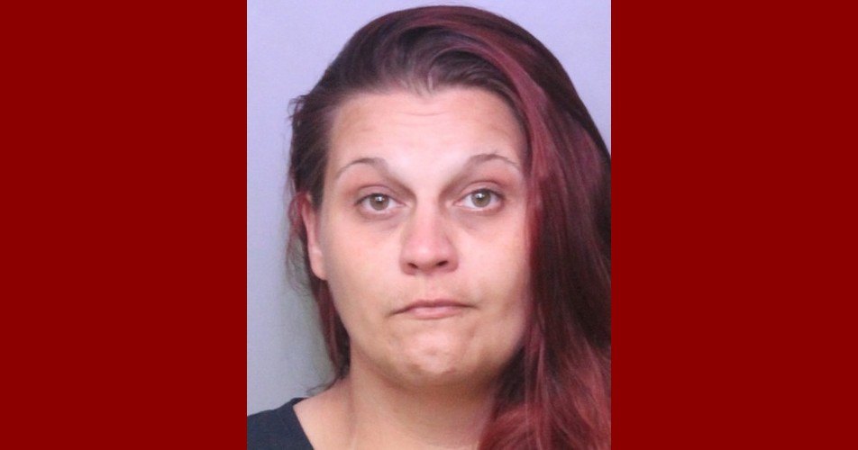 MEGAN PALMER booked for