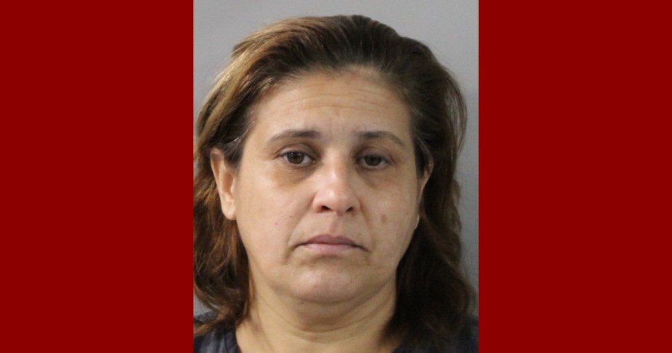 ZAIDA TORRES booked for