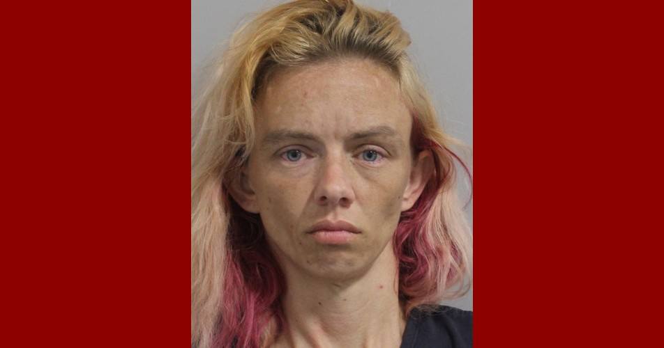 BRITTANY HALL booked for