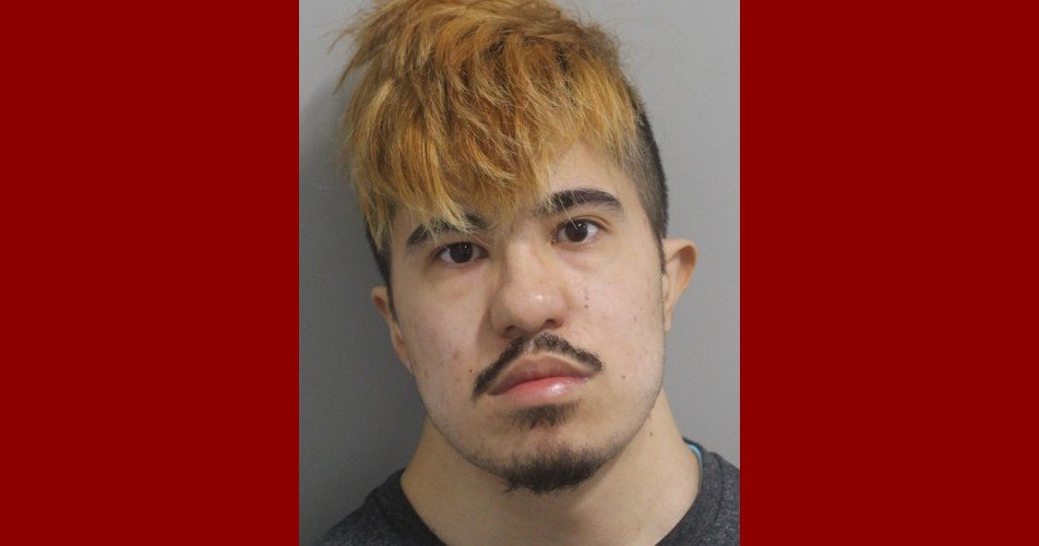 LOUIS WONG booked for