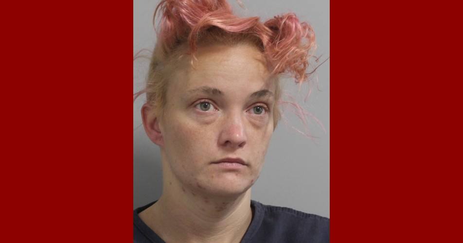 NICOLE SHELL booked for