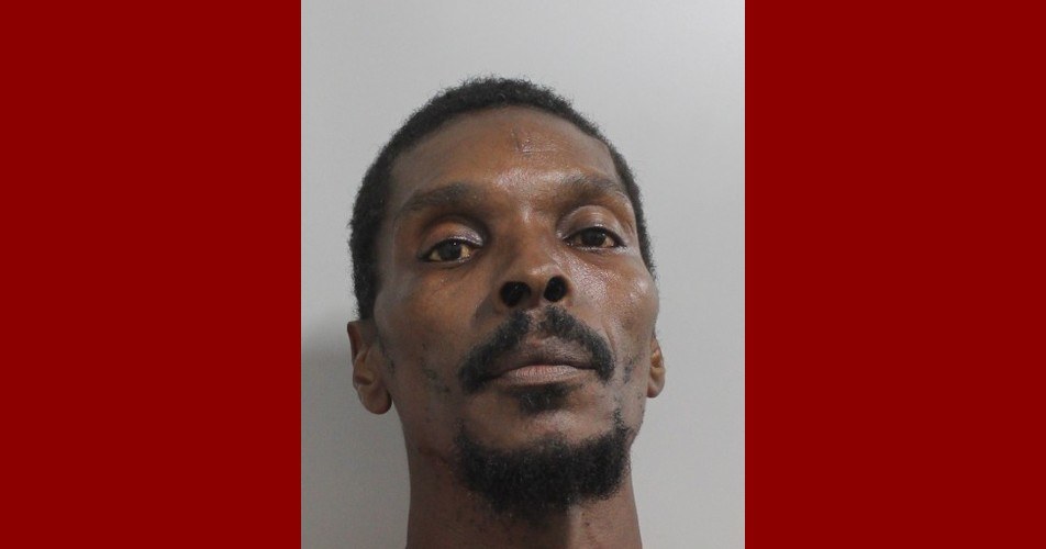 TODD ADAMS booked for