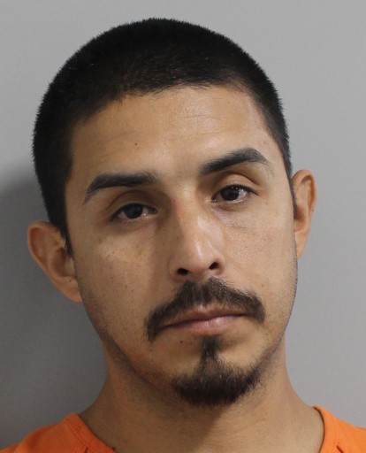 JOEL LUNA booked for