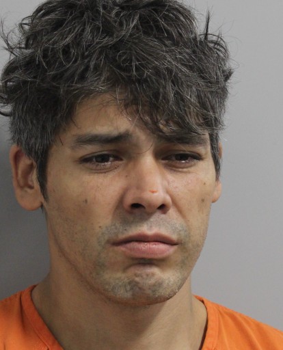 DAVID REYES booked for