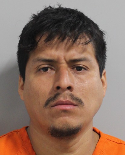 MELVIS SANTOS booked for