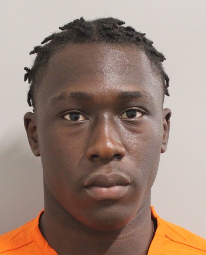 RAPHAEL CESAIRE booked for