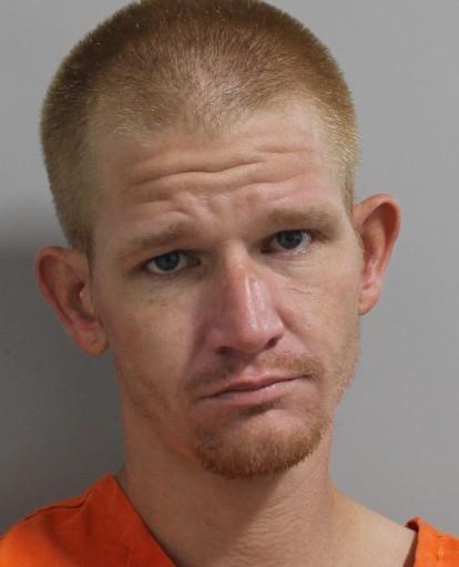 BRANDON REEVES booked for