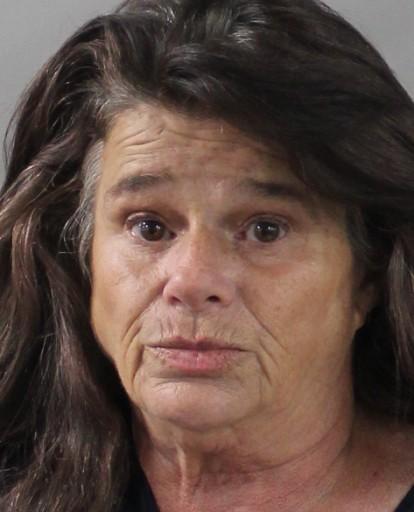 ELIZABETH MICHAEL booked for