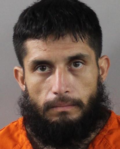 STEVE DOMINGUEZ booked for