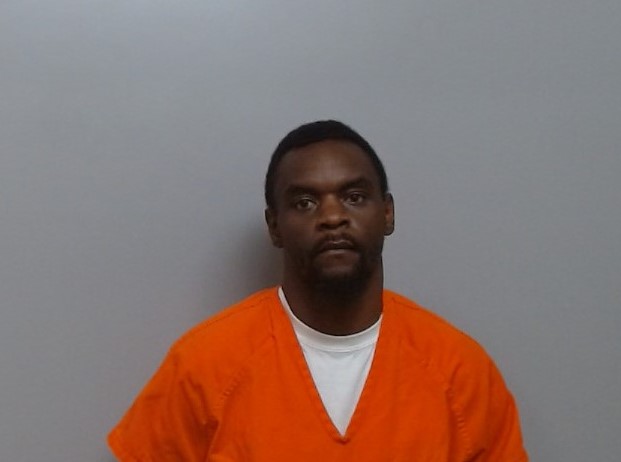 MADISON WILEY booked for