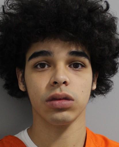 JOSEPH LOWE booked for