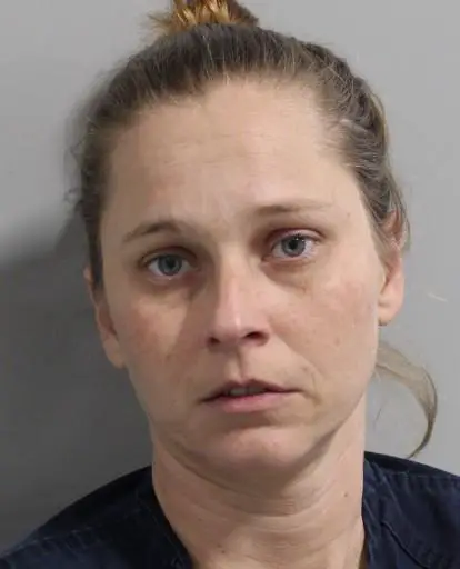 MARY HOPKINS booked for
