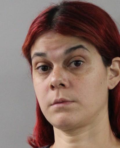 ANNETTE TORRES booked for