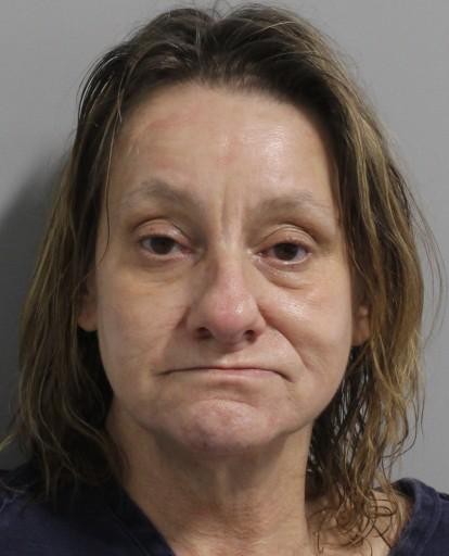 DEBRA ANN FAGG booked for