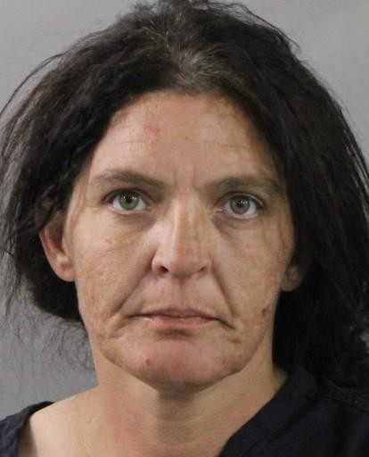 ELIZABETH DIANE PAYNE booked for 0.00