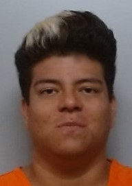 FABRICIO XAVIER RUIZ CORDOVA booked for