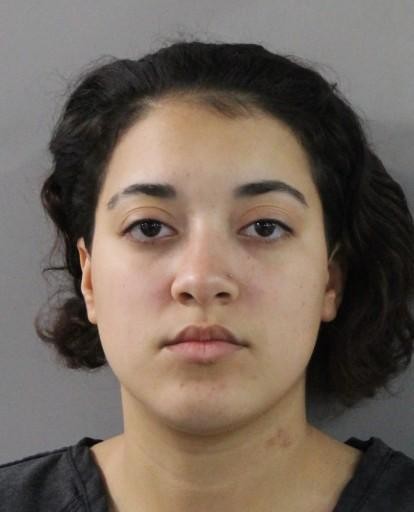 LYNN TAI SUN WRIGHT booked for 2500.00