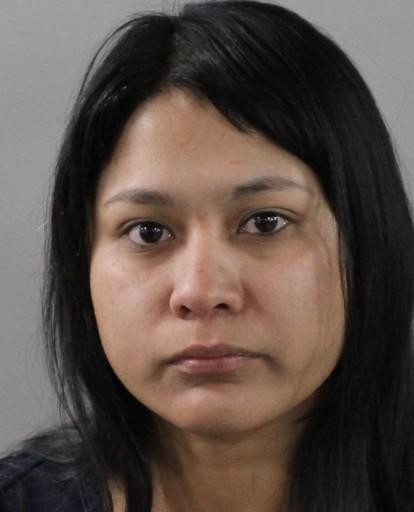 ROSA SALGADO-RAMIREZ booked for