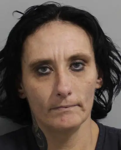 LISA JOHNSON booked for 0.00