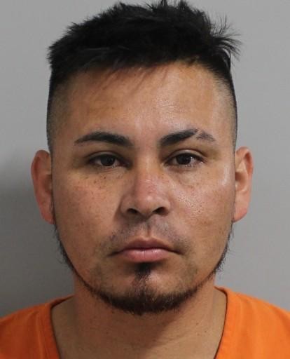 DAWY CHIRINOS-LOBO booked for 250.00