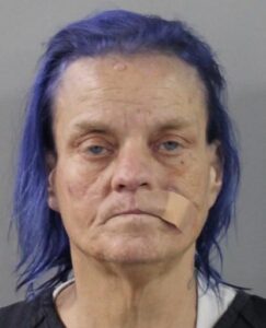 ROBIN HOLLAND booked for