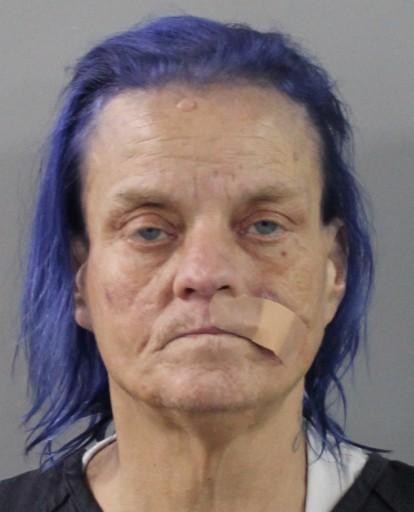 ROBIN HOLLAND booked for