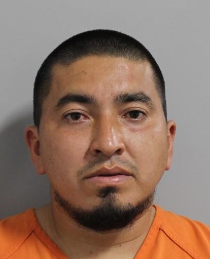 LUIS CRUZ-DIAZ booked for