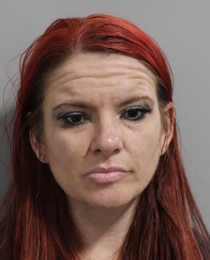 HALEY GOODWIN booked for 500.00
