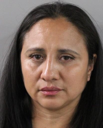 CLAUDIA REYES-RAMIREZ booked for 250.00