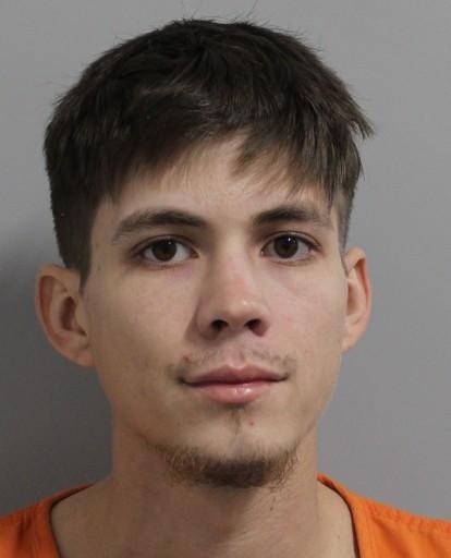 PHILLIP JOHNSON booked for 250.00