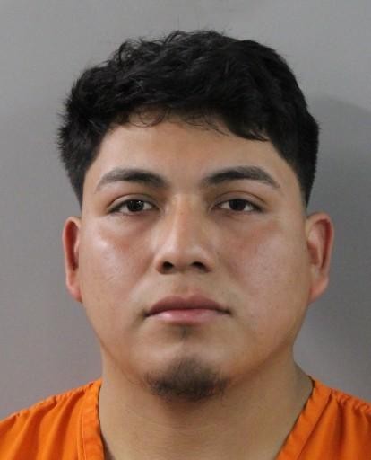 RONALD HERNANDEZ-PEREZ booked for 250.00