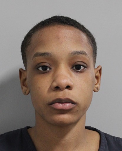 BRYANNE GRINER booked for