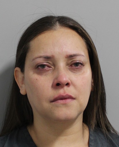 ELIDA CRUZ-MARTINEZ booked for 0.00